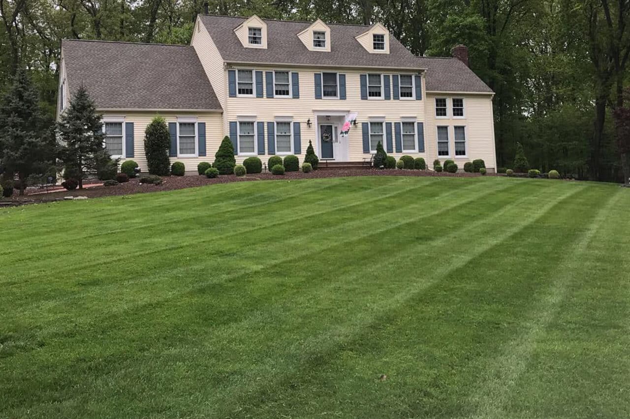 Vision Landscape Services | NJ Residential & Commercial