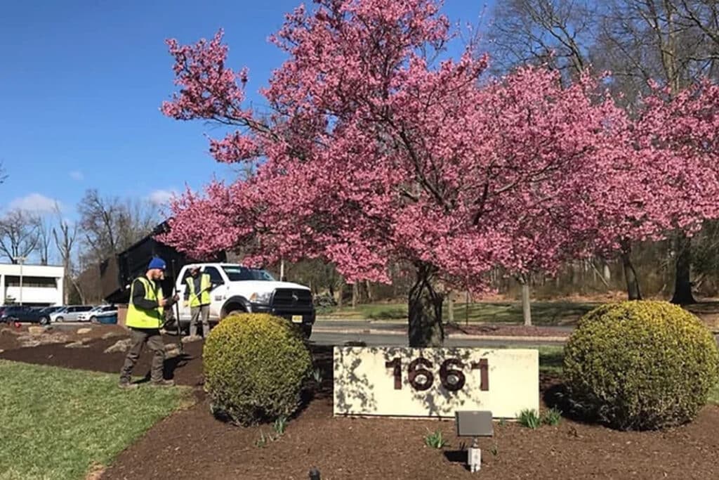 Commercial Landscaping Services | Vision Landscape Services NJ