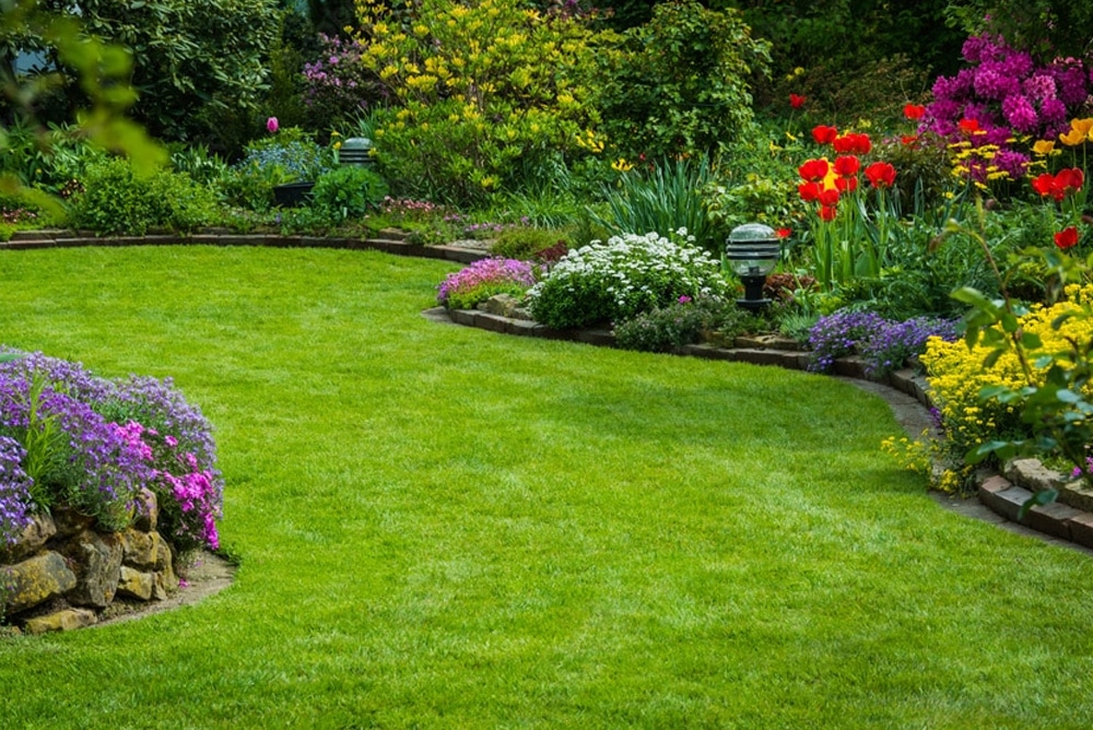 Vision Landscape Services | NJ Residential & Commercial